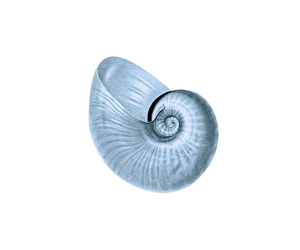 PI.GIO Restaurant | Authentic italian cuisine | andros-guide.gr